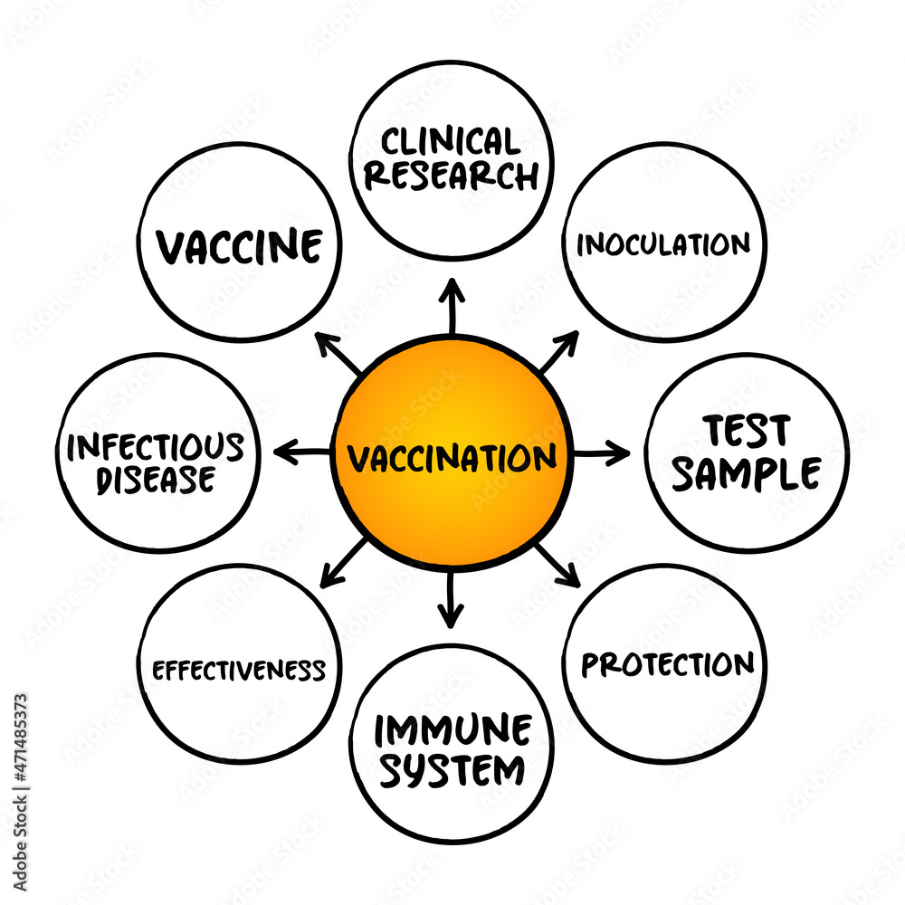 Vaccination - administration of a vaccine to help the immune system ...