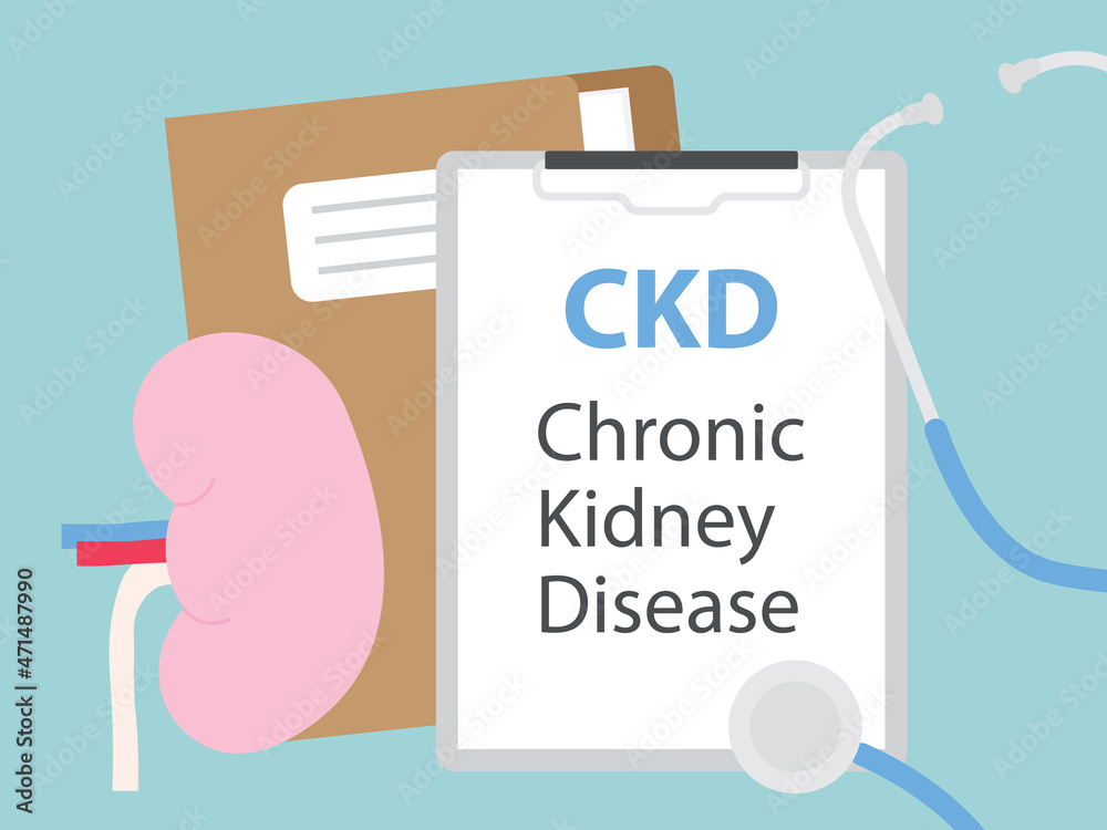 CKD Chronic Kidney Disease concept- vector illustration Stock Vector ...
