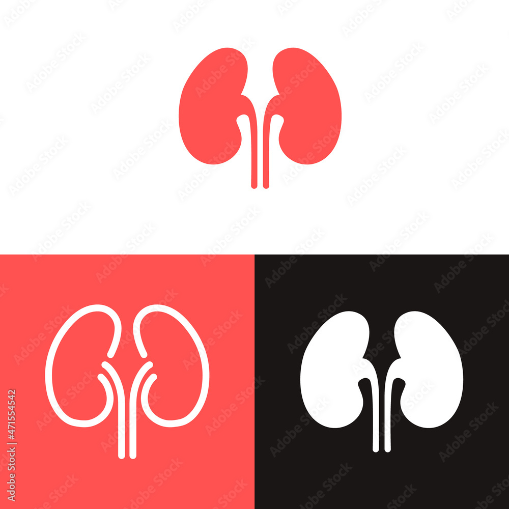 Kidney renal flat realistic icon. Human kidney vector organ icon ...