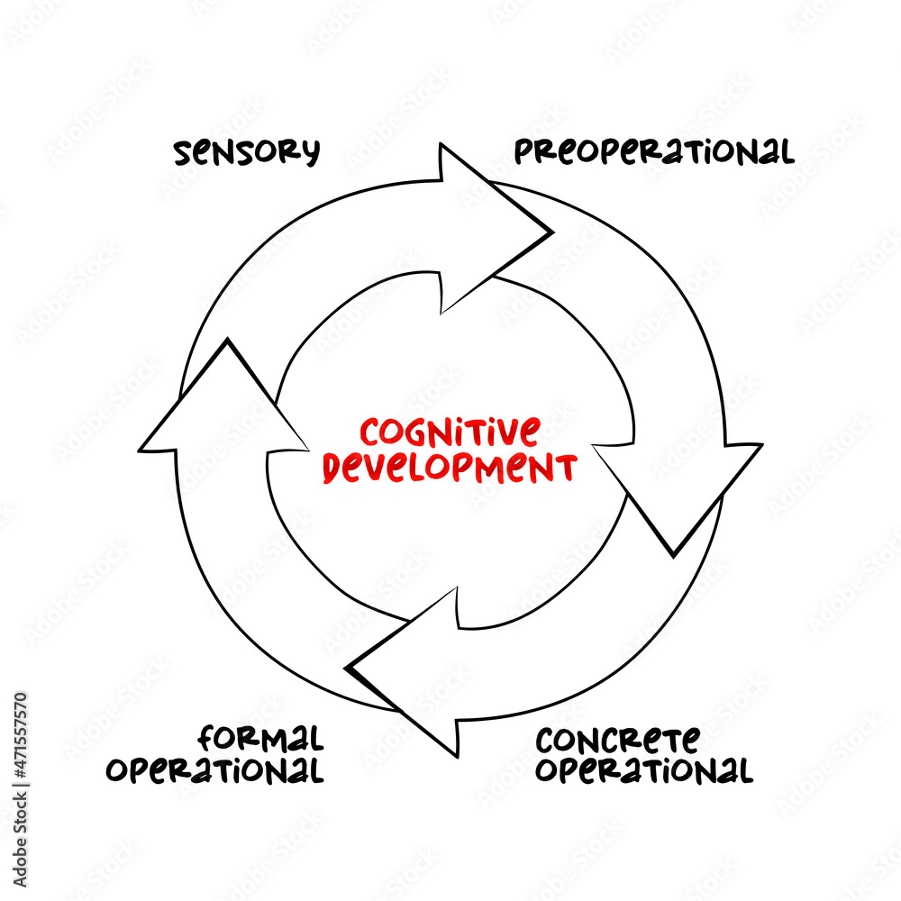 Cognitive Development mind map process, concept for presentations and ...