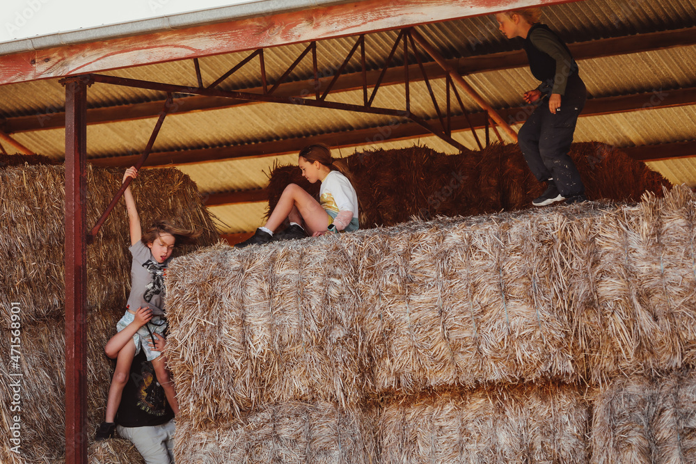 Kids climbing and playing on hay stack. Farm kids exploring and having ...