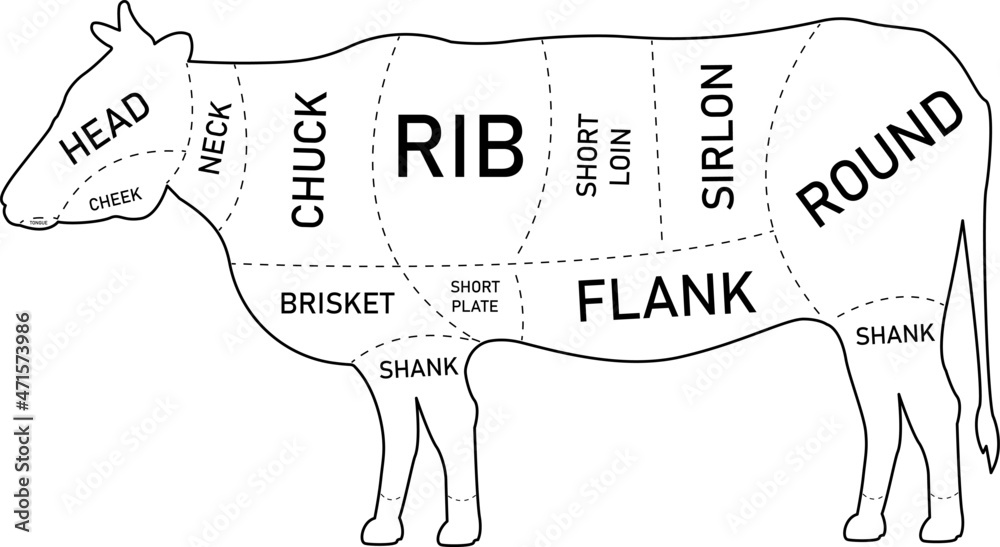 Butcher diagram. Cuts of cow meat for butchery, meat shop, restaurant ...