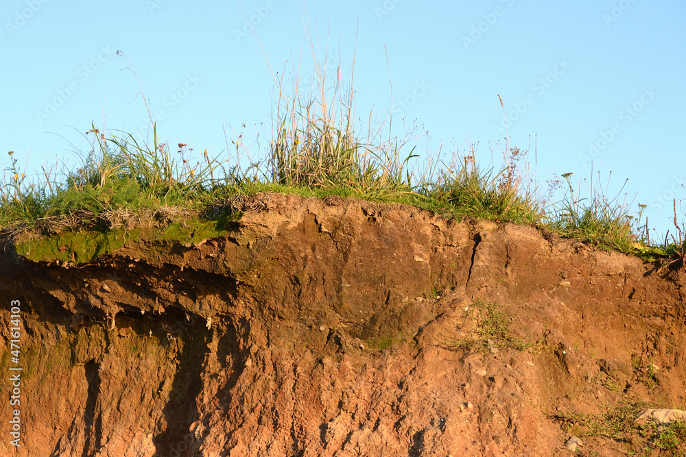 Texture layers of earth. Cross section of green grass and underground ...
