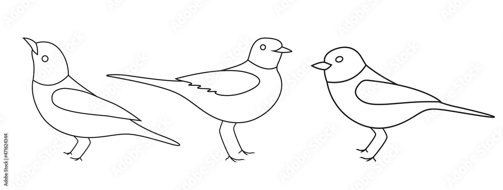 Vector set of birds silhouette. Sitting and flying birds Stock Vector ...