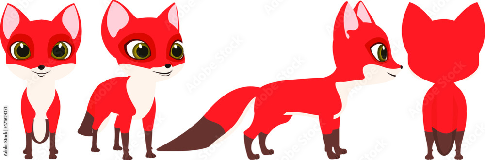Fox turnaround for animations and designs Stock Vector | Adobe Stock