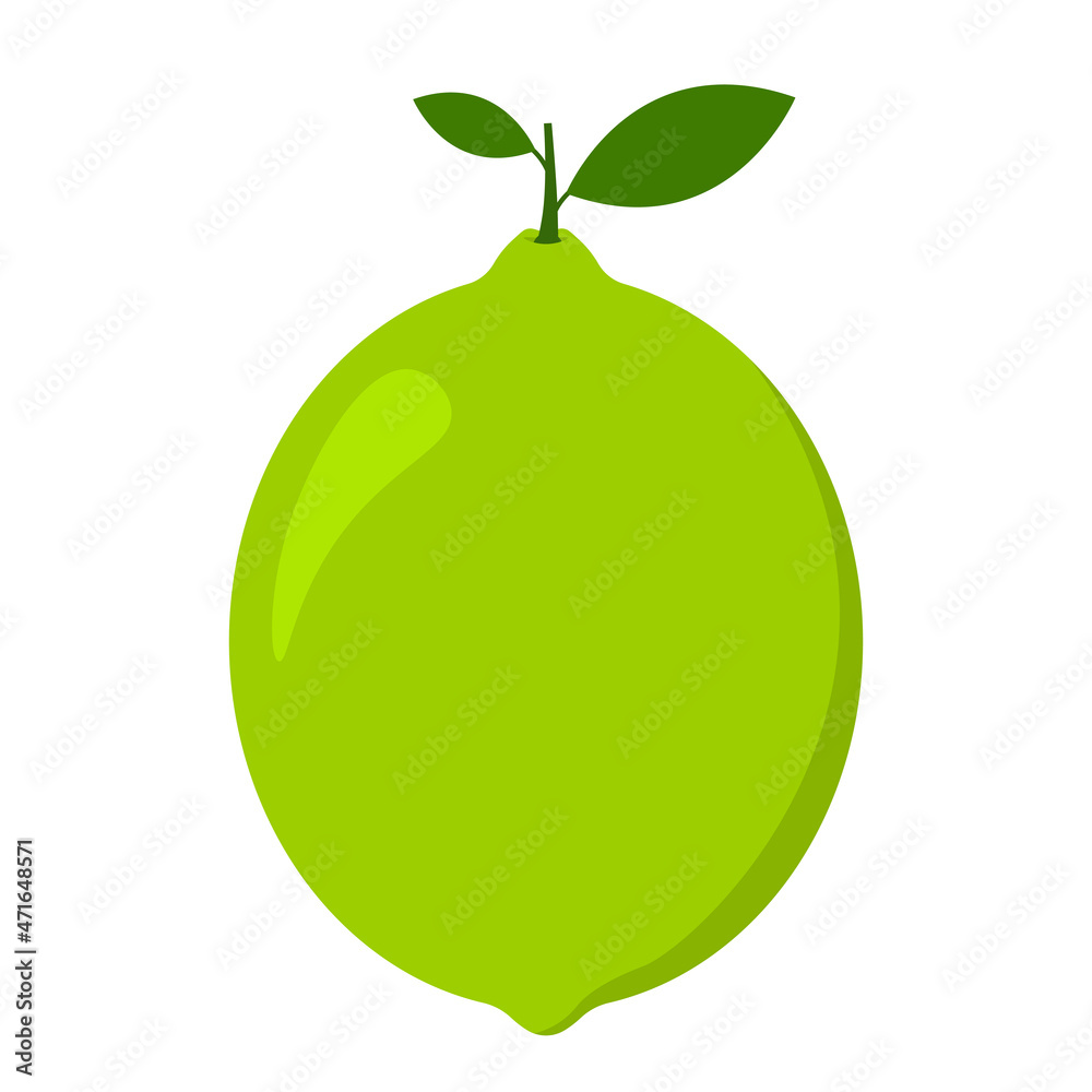 Green Lime Icon clipart vector animation illustration Stock Vector ...