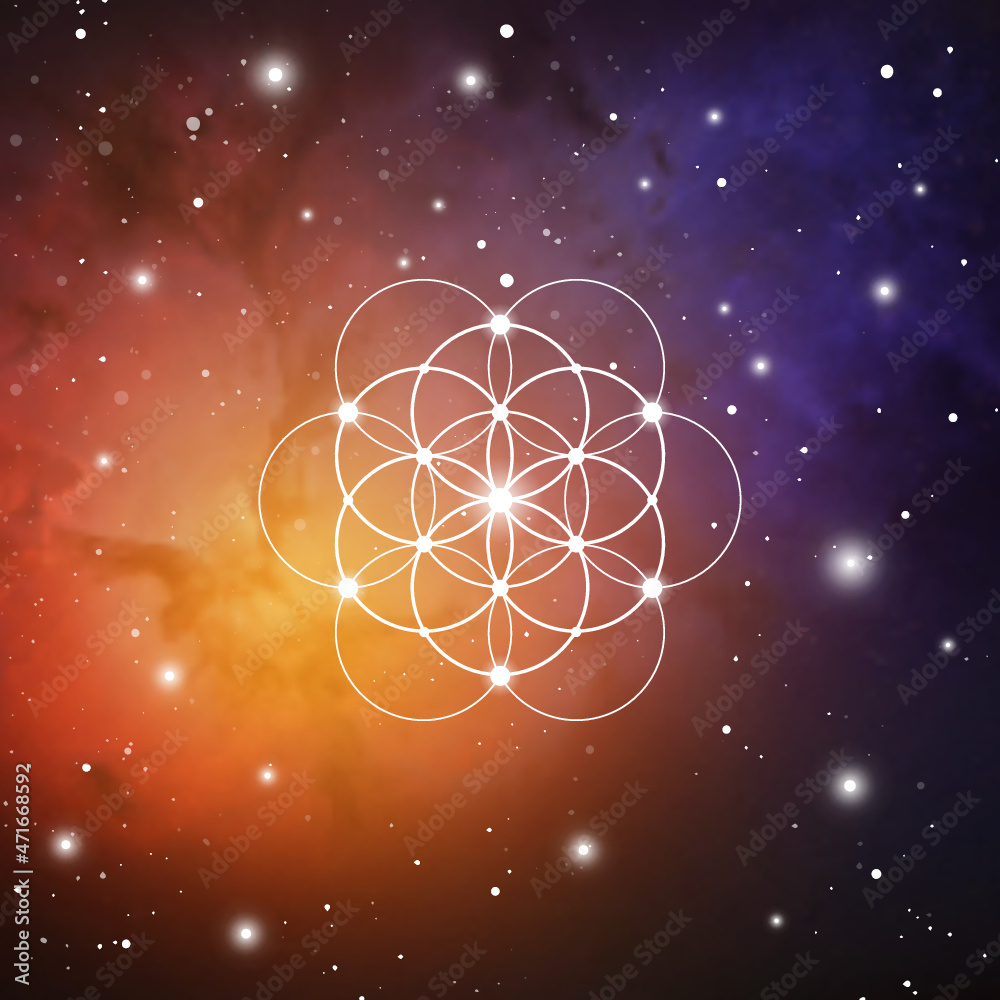 Sacred geometry tree of life ancient symbol vector illustration with ...