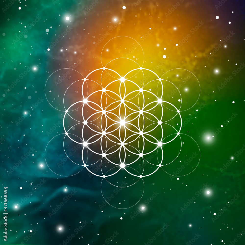 Sacred geometry tree of life ancient symbol vector illustration with ...