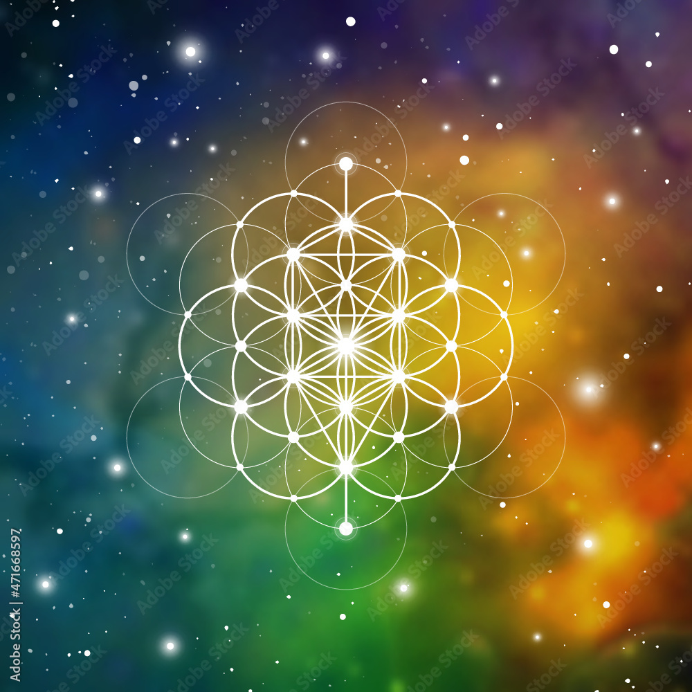 Sacred geometry tree of life ancient symbol vector illustration with ...