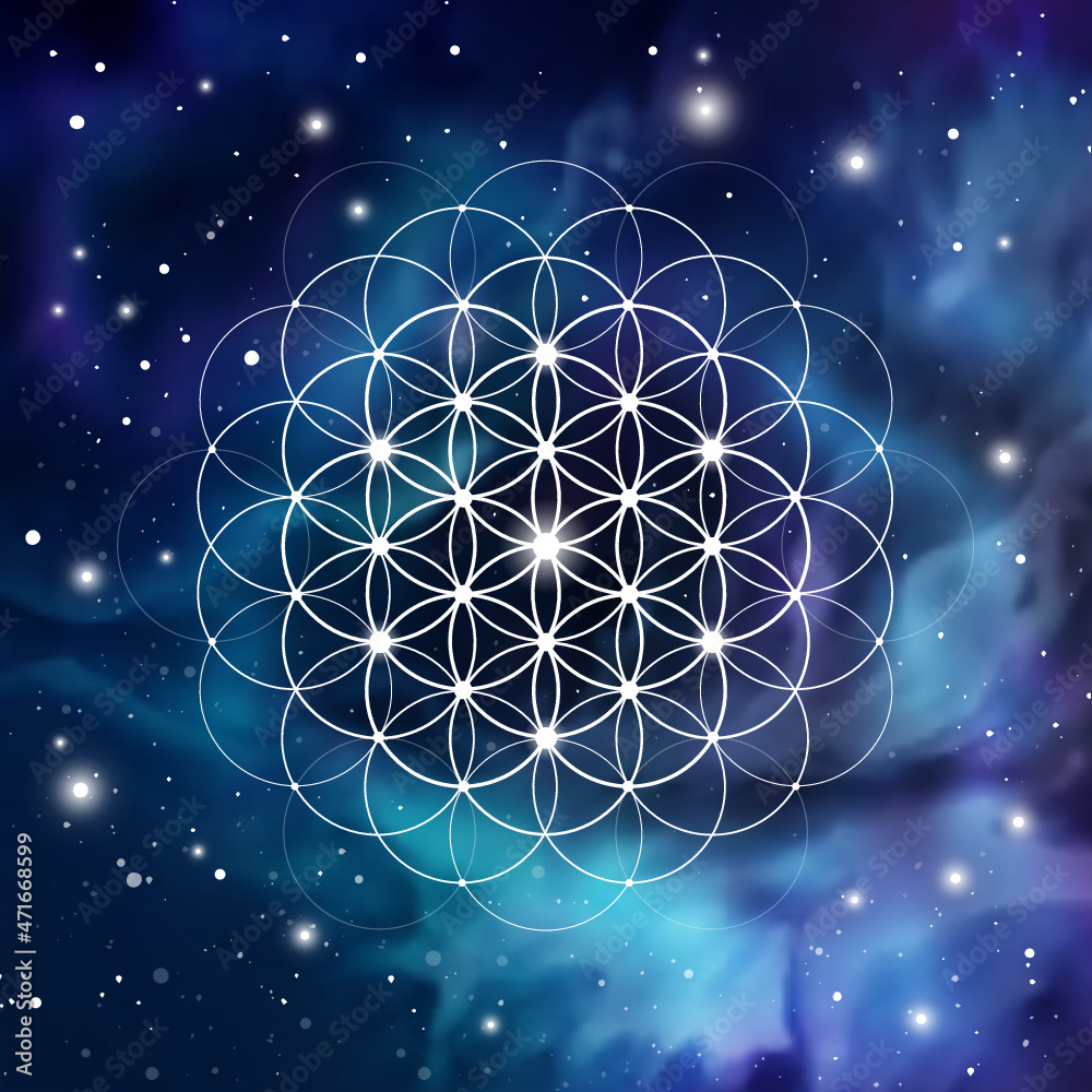 Sacred geometry tree of life ancient symbol vector illustration with ...