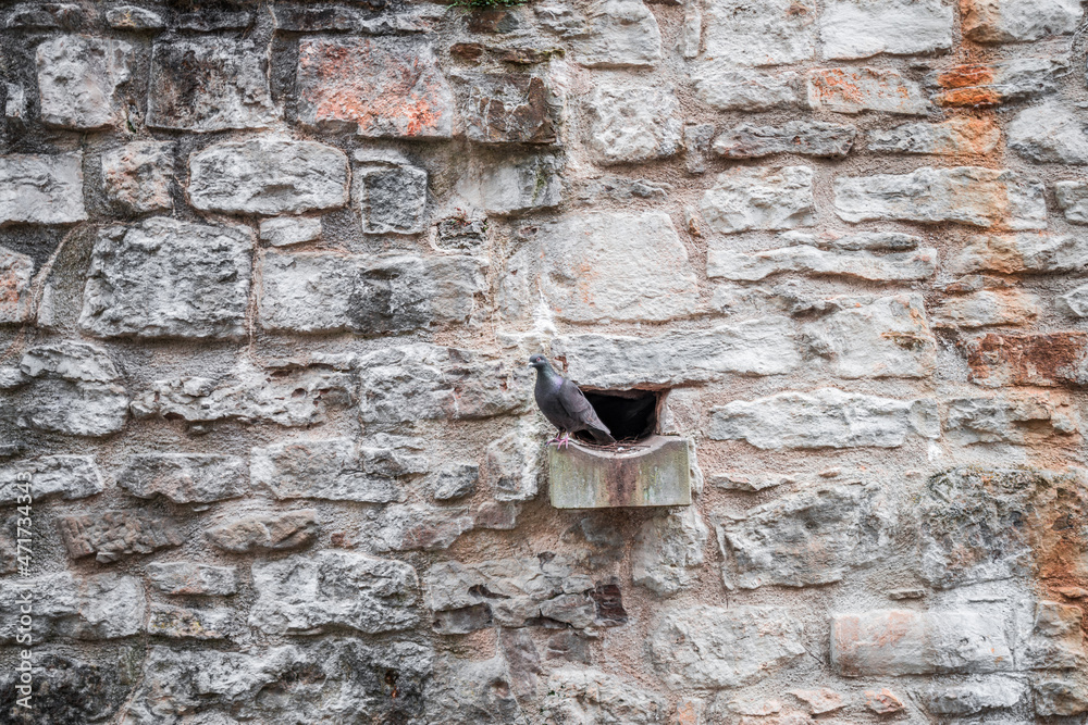 Wasser Rinne aus Stein an einer alten mittelalterlichen gemauerten ...