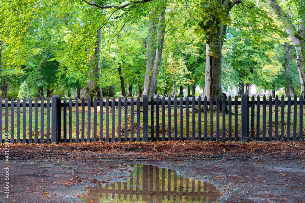 A dark green wooden picket fence with leaves, tree needles, and soil on ...