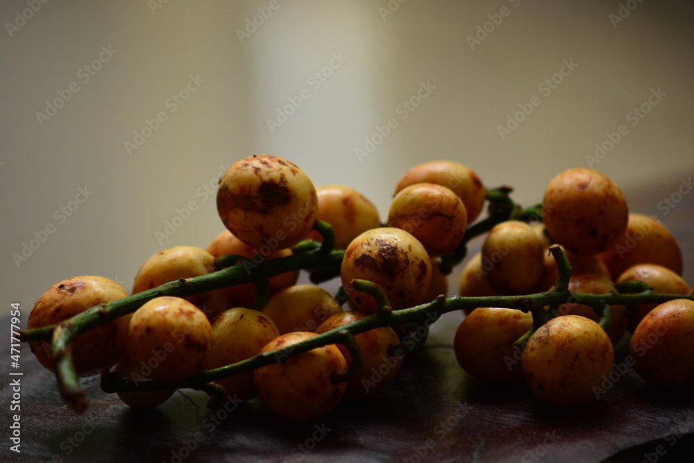 Baccaurea racemosa, common names kapundung or menteng is a species of ...