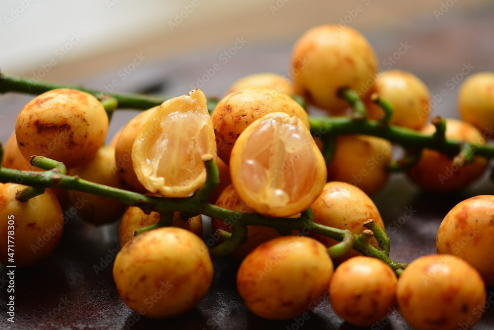 Baccaurea racemosa, common names kapundung or menteng is a species of ...