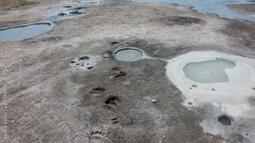 There are hot springs in the geothermal zone of the extinct volcano ...