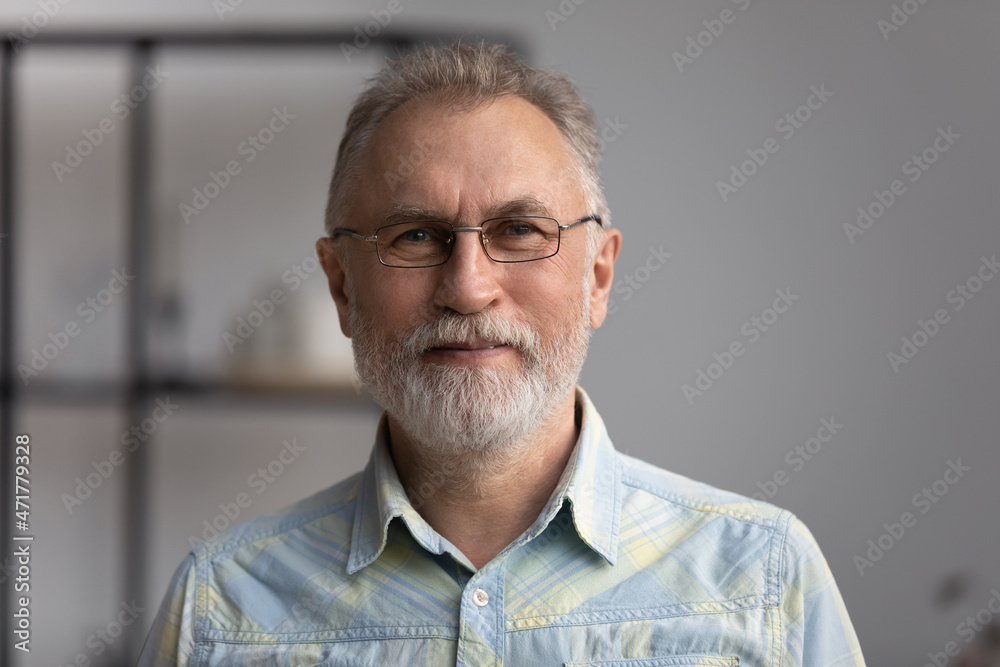 Happy senior grey haired 60s man with beard head shot. Positive retiree ...
