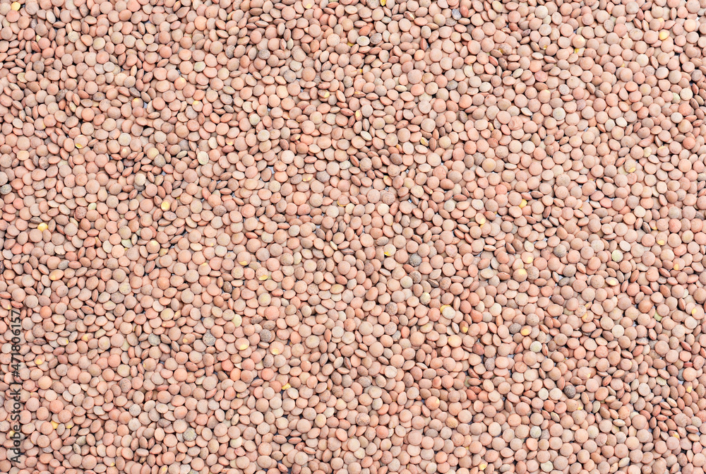 Photography shot from an overhead point of view of some lentils.The ...