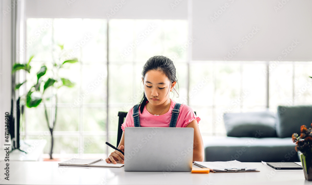 School kid little student girl learning and looking at laptop computer ...