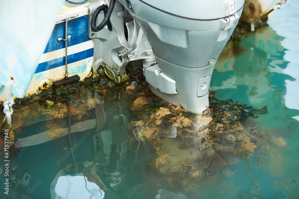 Molluscs, overgrown ship bottom. Shellfish on the hull of the ship ...
