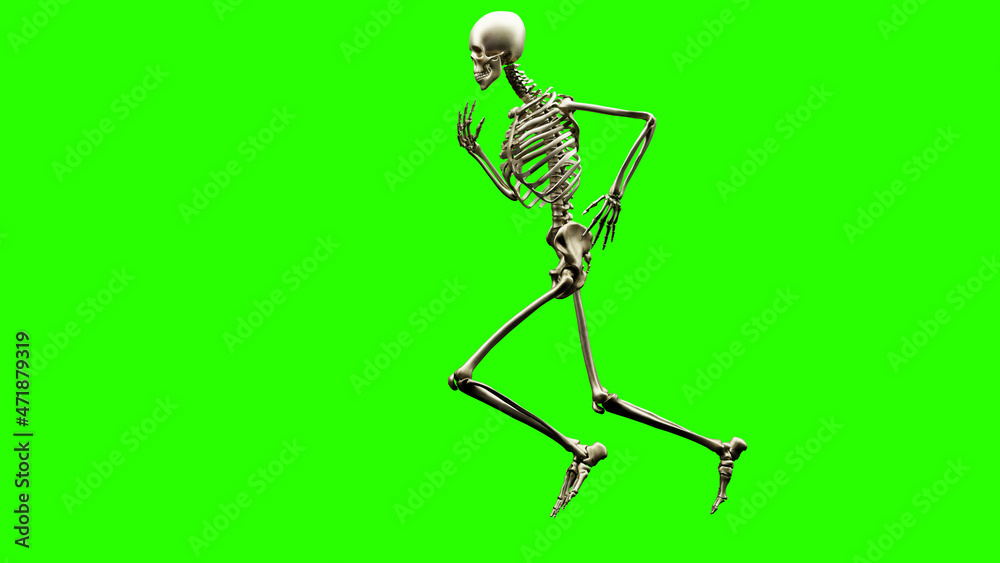 3d illustration of skeleton system of running man, bone Anatomy while ...