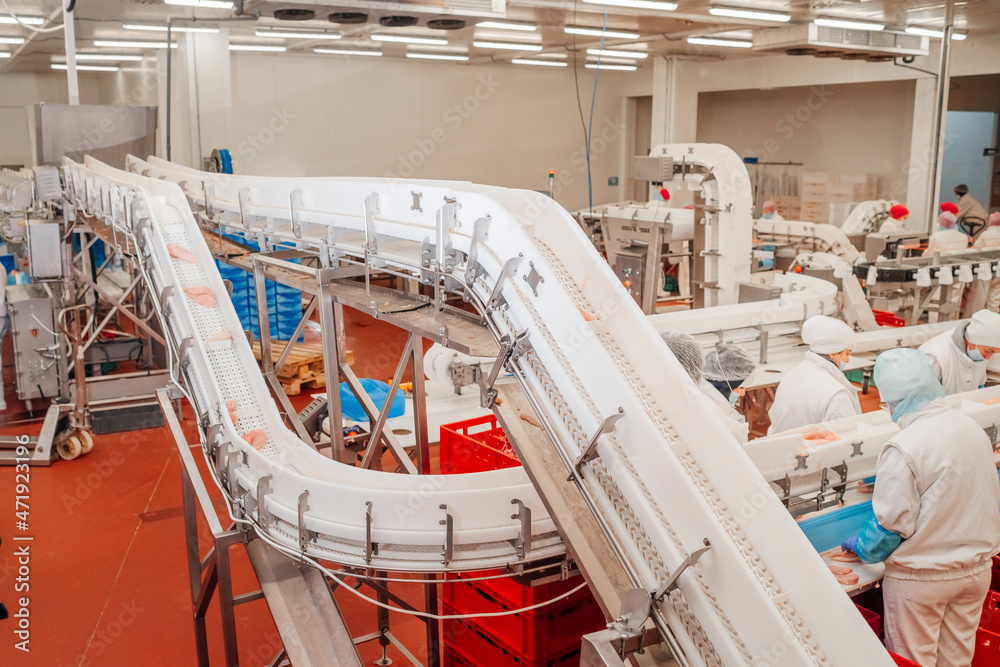 Modern Food Assembly Line