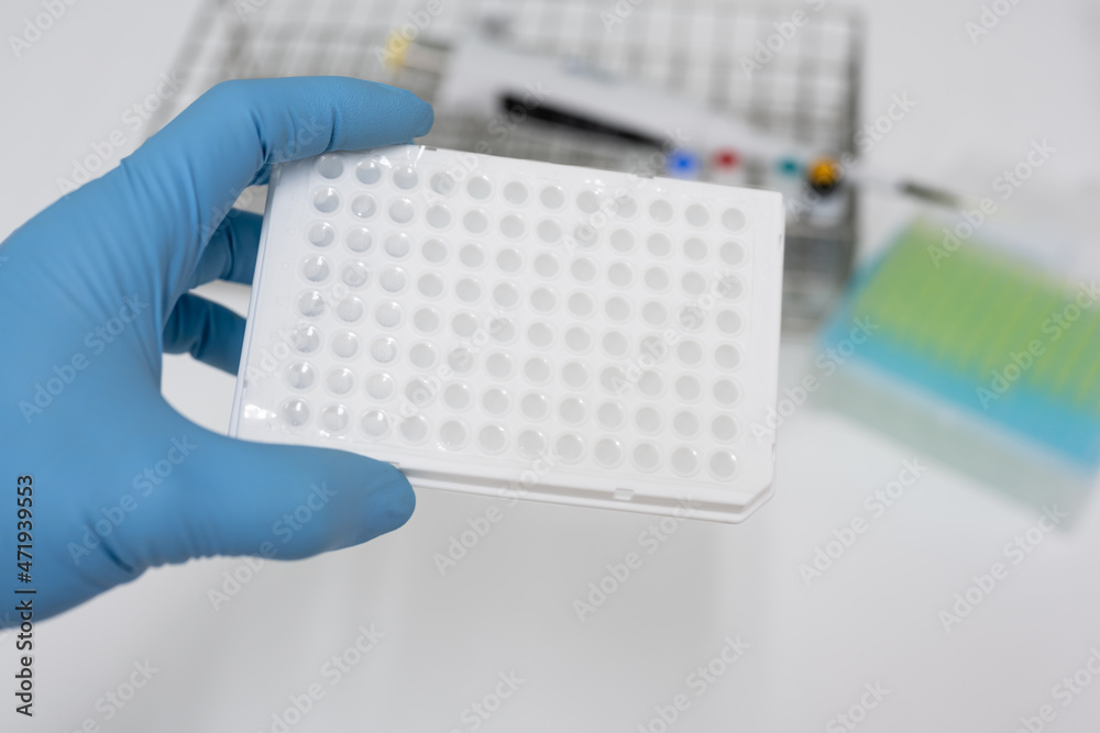 Blue glove scientist hand holding sample plate specimen for laboratory ...