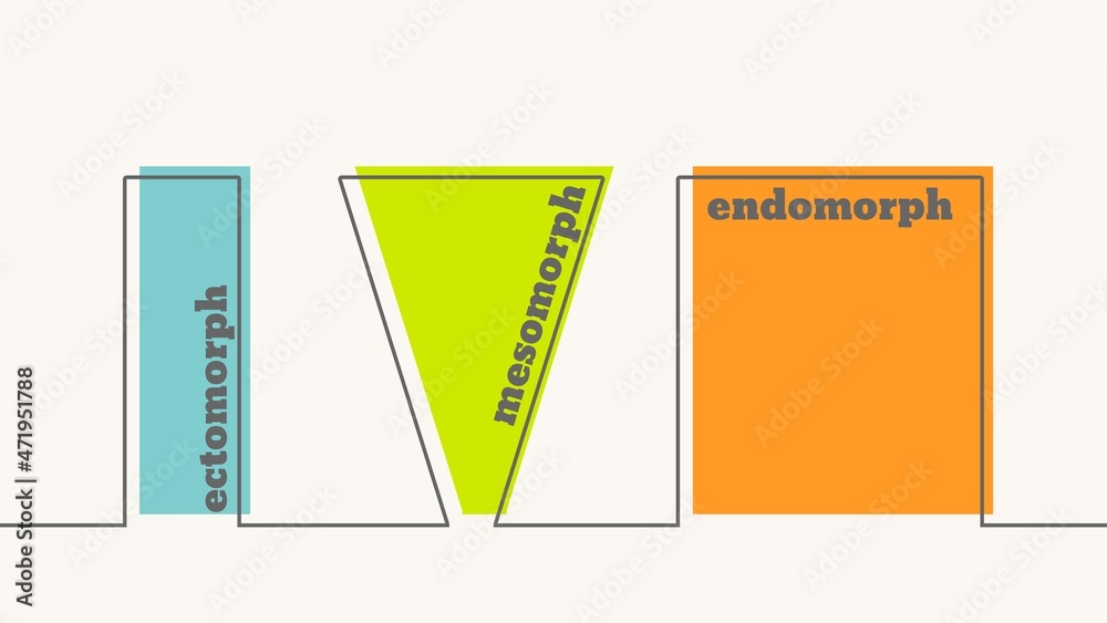 Body types icons set. Ectomorph, mesomorph and endomorph. Stock Vector ...