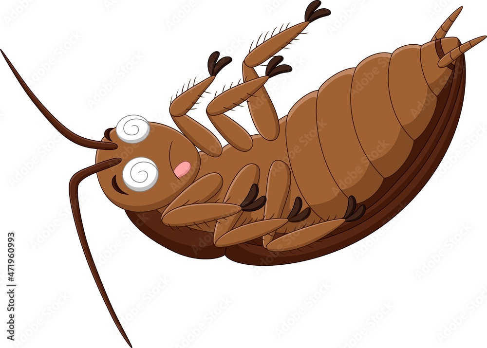 Cartoon dead cockroach on white background Stock Vector | Adobe Stock