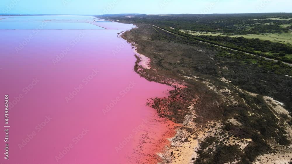 The famous pink lakes of Western Australia - Hutt Lagoon. Stock ビデオ ...