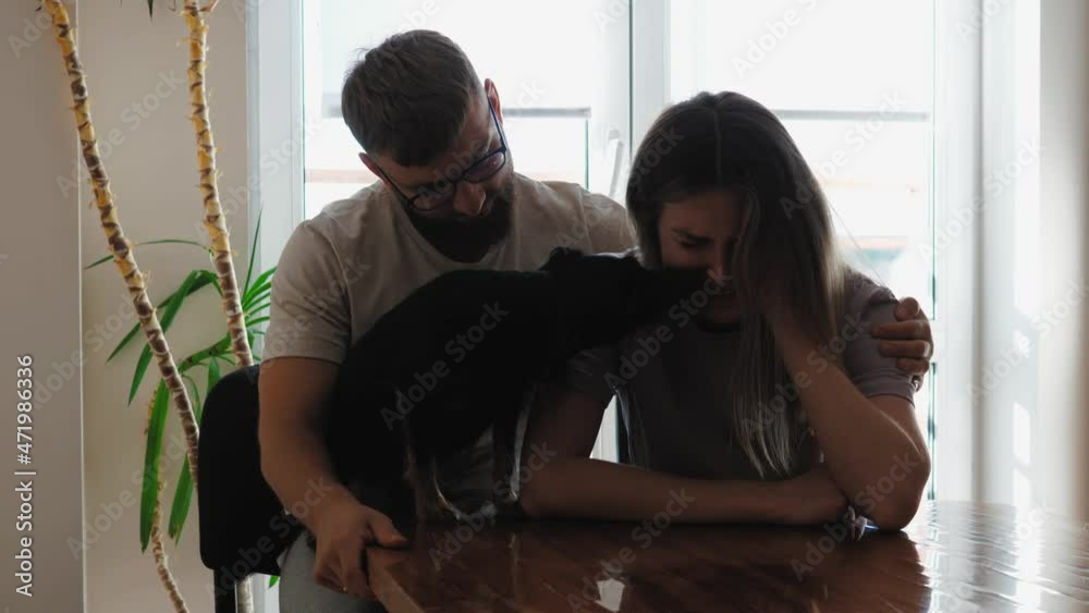 Video Stock Upset sad woman crying and the dog licking her trying to ...