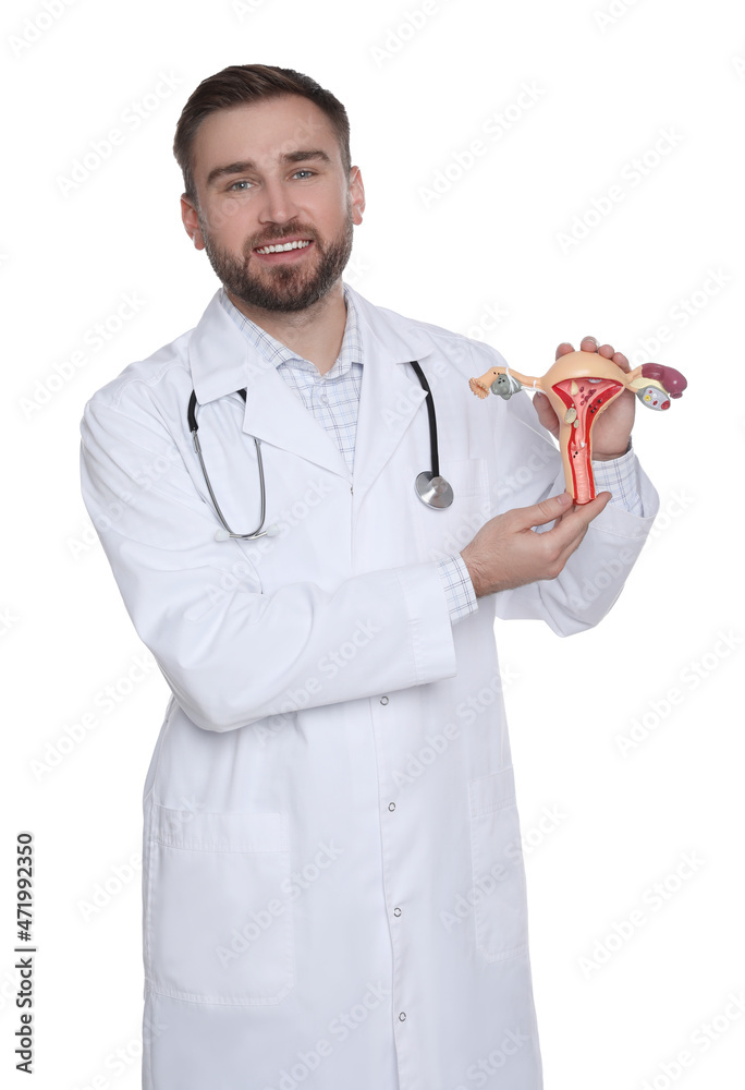 Doctor demonstrating model of female reproductive system on white ...