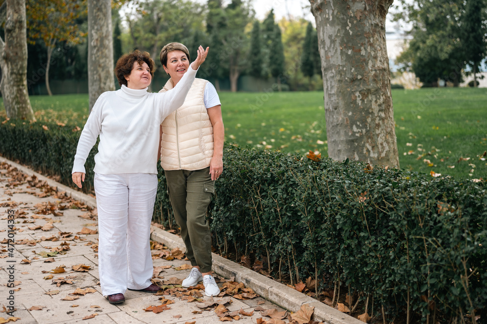 Two Senior Women Smiling to Each Other. two old friends met in the park ...