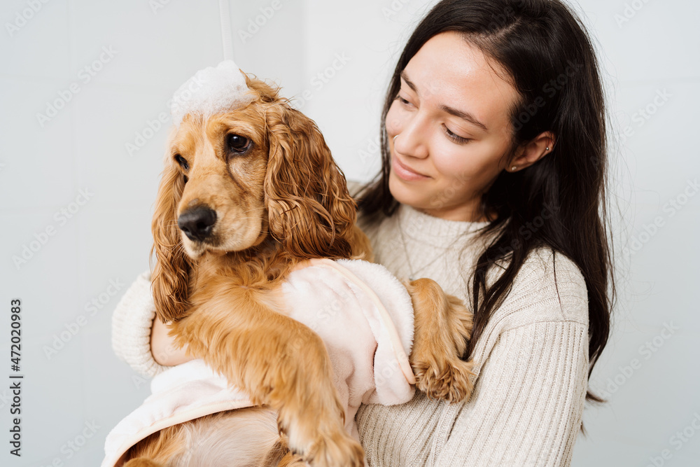 Foto de Cocker spaniel tacking a bath with his human in the bath tub ...