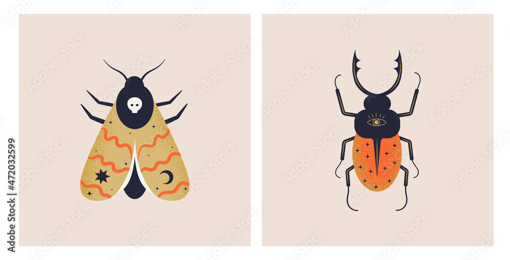 Mystical abstract moth and stag beetle with celestial symbols of stars ...