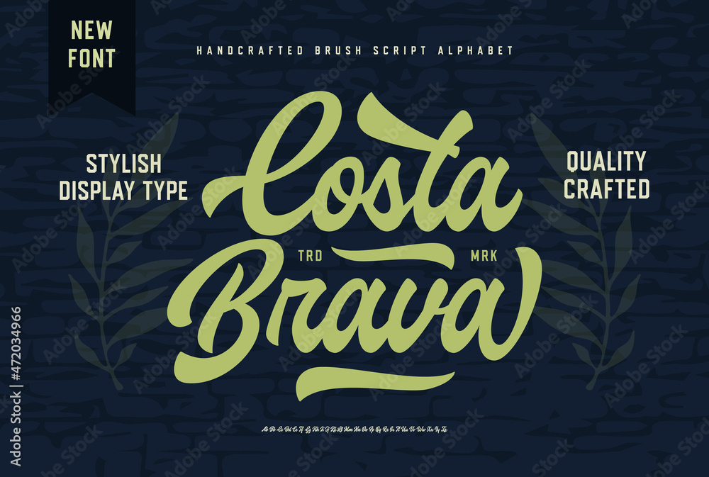 Costa Brava typeface. Original Retro Script Font. Vector Stock Vector ...