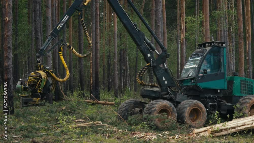 A harvester machine is grabbing fallen trees in the forest. Harvester ...