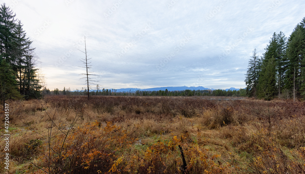 Derby Reach Regional Park in Langley, Greater Vancouver, British ...