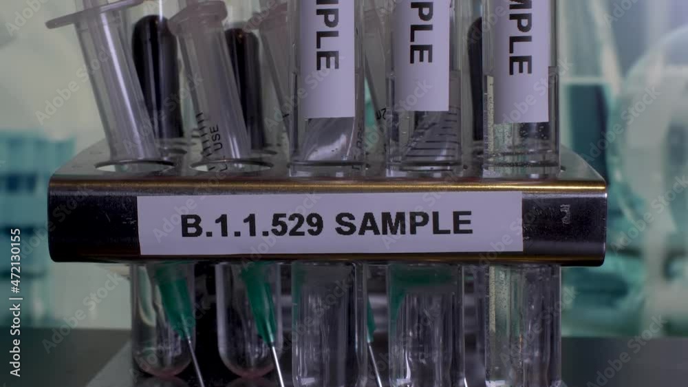 A close look on a metal test tube rack labeled with B.1.1.529, that is ...