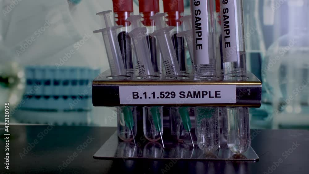Samples named B.1.1.529 are being tested for a new Omicron variant of ...