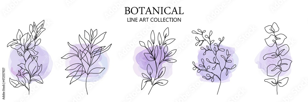Botanical Line Art Drawing Set. Hand Drawn Continuous Line Drawing of ...