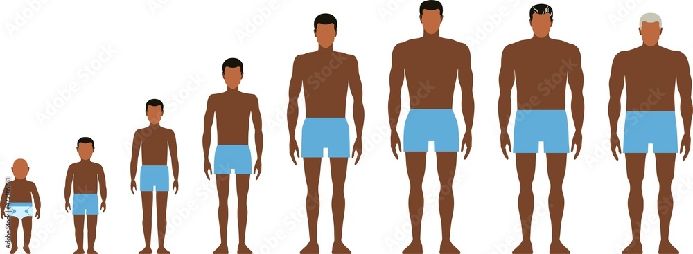 Man life cycle flat vector illustration. Stages of aging men. The human ...