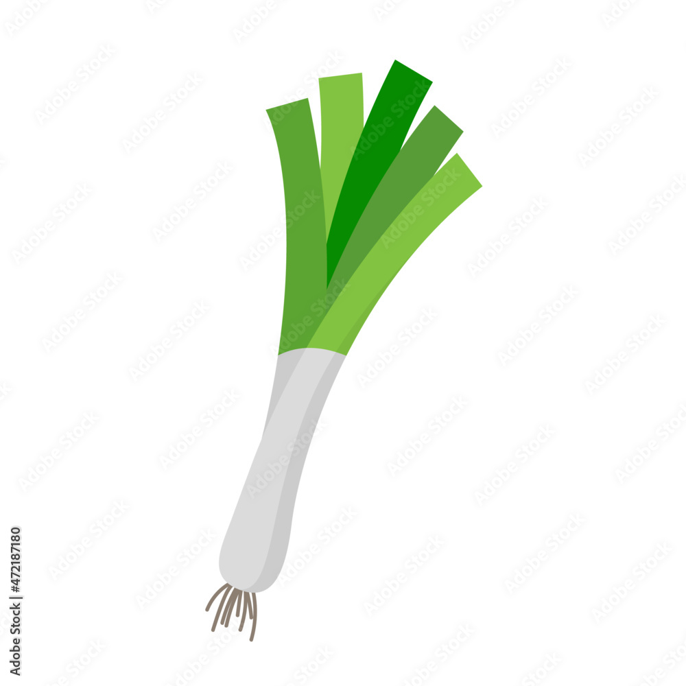 leek vector illustration logo icon clipart Stock Vector | Adobe Stock