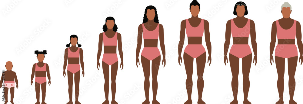Woman life cycle flat vector illustration. Stages of aging women. The human body aging process ...