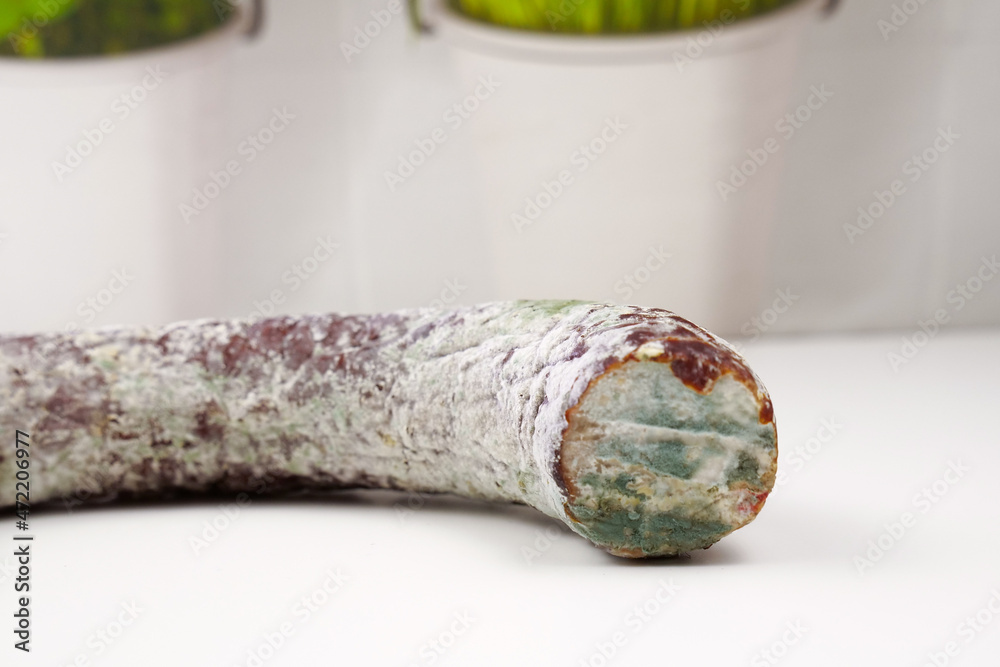 Moldy food, sausage covered with white and green mold. Food waste ...