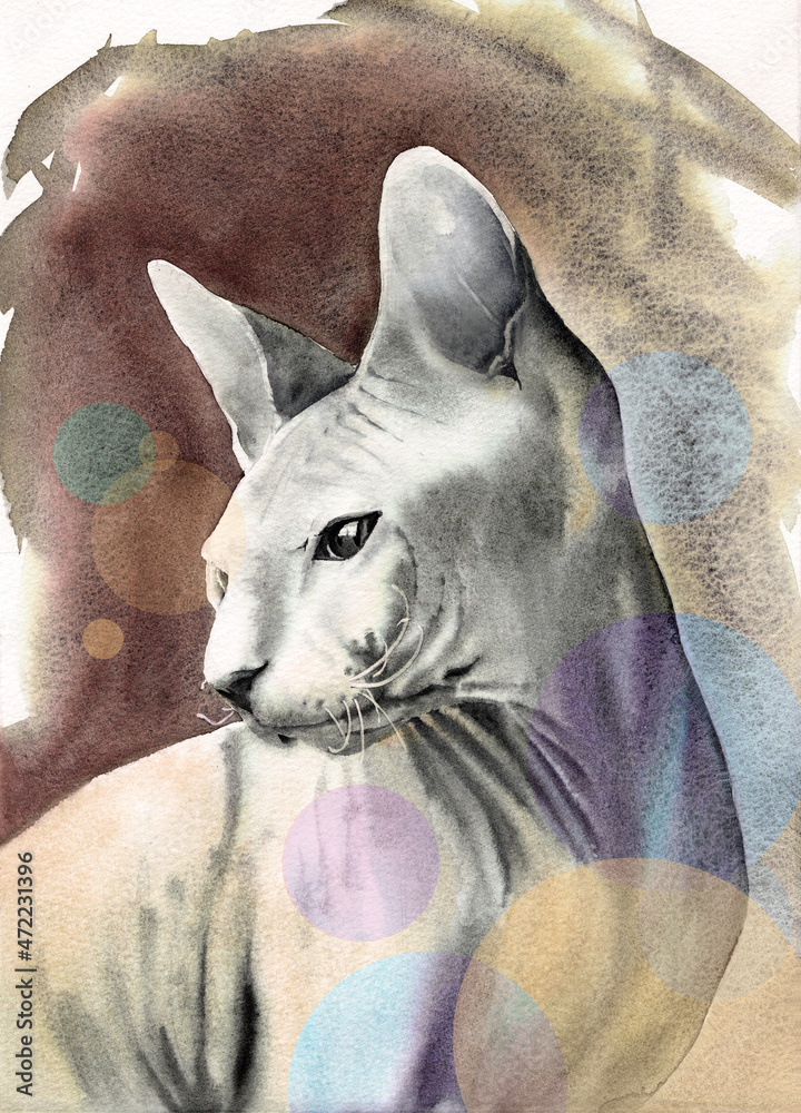 Watercolor illustration of a graceful Sphynx cat with big ears and ...
