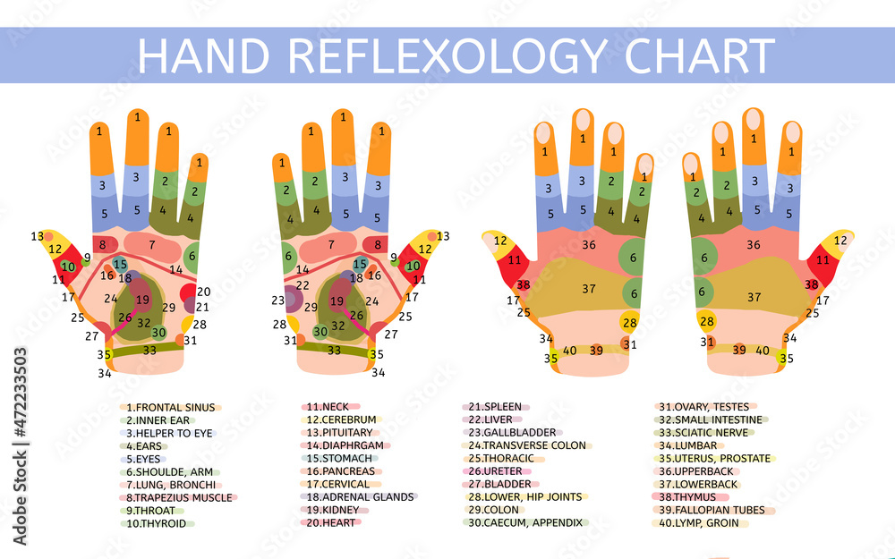 Hand reflexology chart with description of the corresponding internal ...