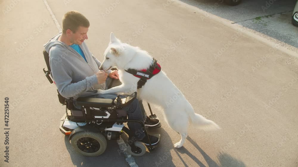 Handheld shot of a service dog and a Caucasian disabled man in a moment ...