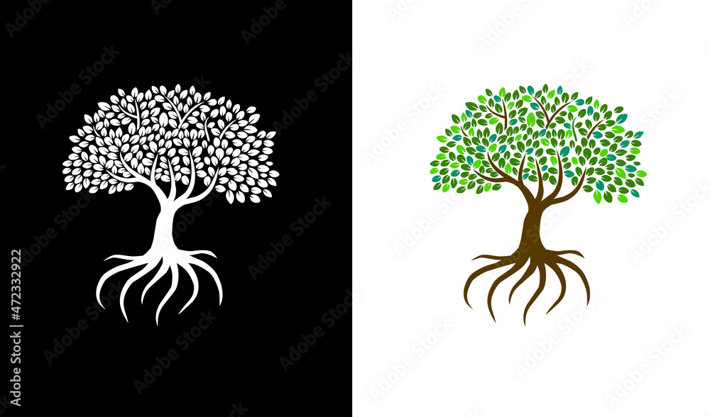 mangrove tree vector illustration Stock Vector | Adobe Stock