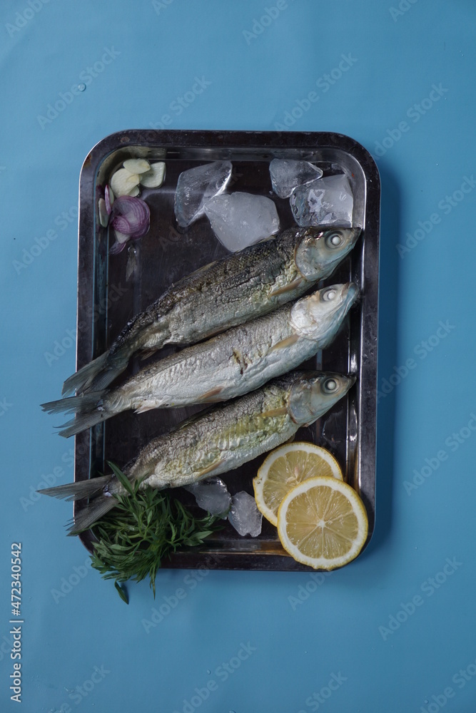 Milkfishes photography for business and presentation Stock Photo ...