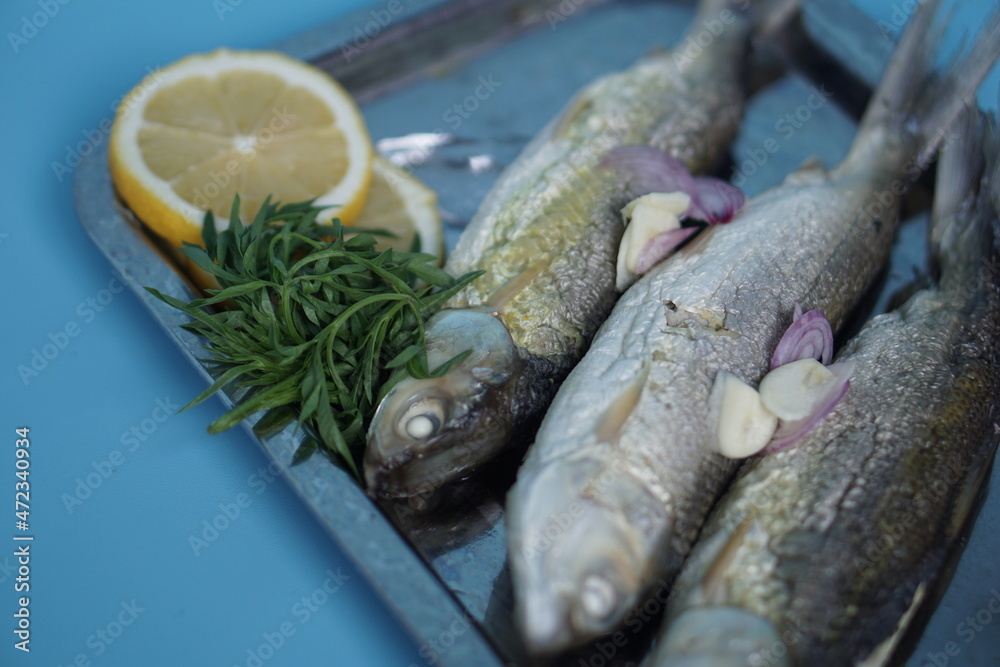 Milkfishes photography for business and presentation Stock Photo ...